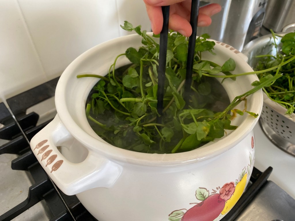Chinese Watercress Soup – Hungrysaurus